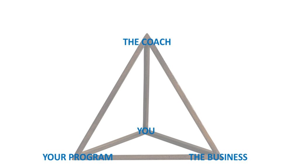 What is the Alignment Consultation? - Steve Gaskell - ActionCOACH