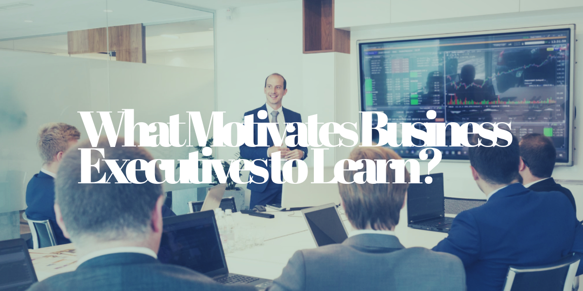 What motivates business executives to invest in learning